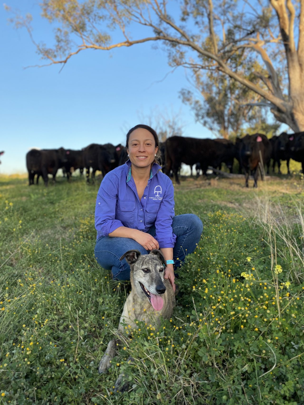SALRC 2022 Awards Announced | Southern Australia Livestock Research Council